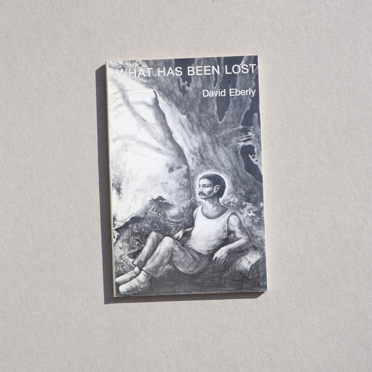 London Centre for Book Arts – WHAT HAS BEEN LOST by David Eberly