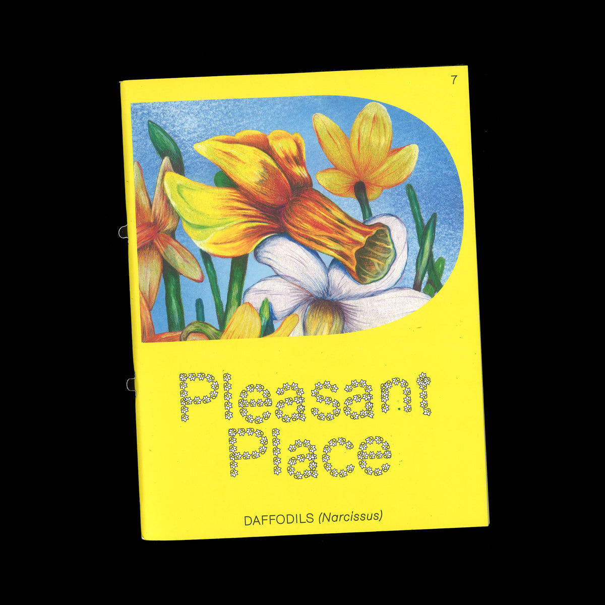 London Centre for Book Arts – PLEASANT PLACE ISSUE 7: DAFFODILS ...